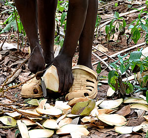 Village Tour in Zanzibar