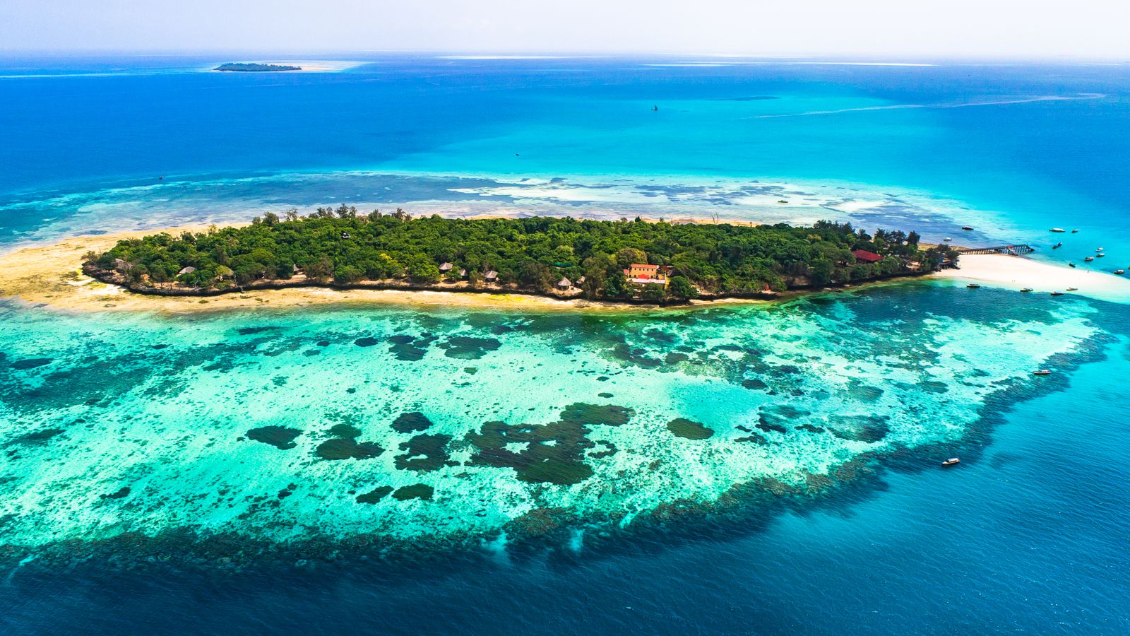 Prison Island Tour Zanzibar | Giant Tortoise Island